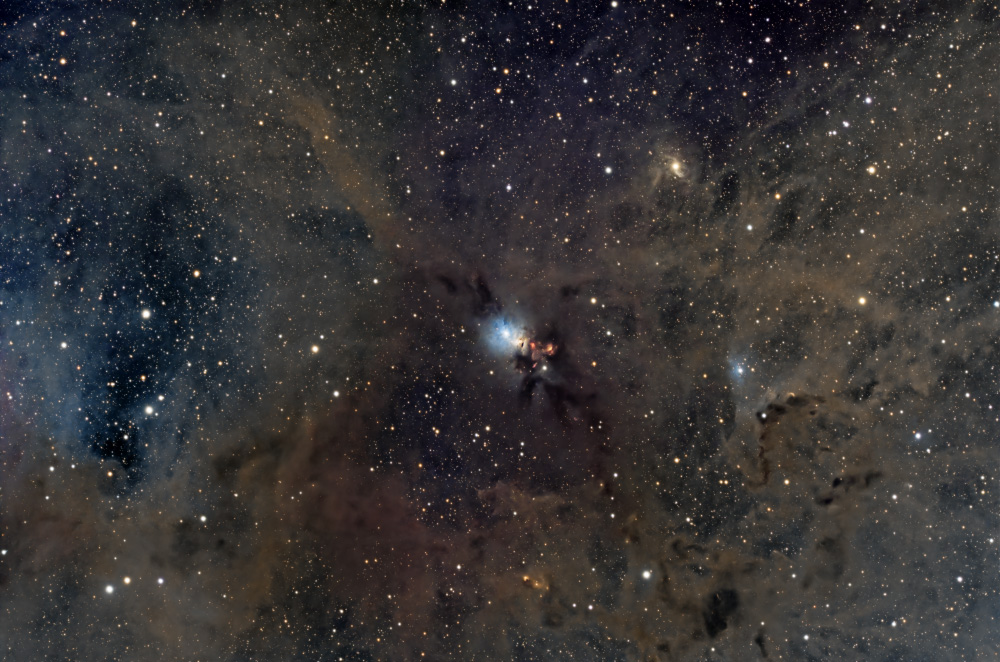 NGC 1333, the Embryo Nebula - Sky & Telescope - Sky & Telescope