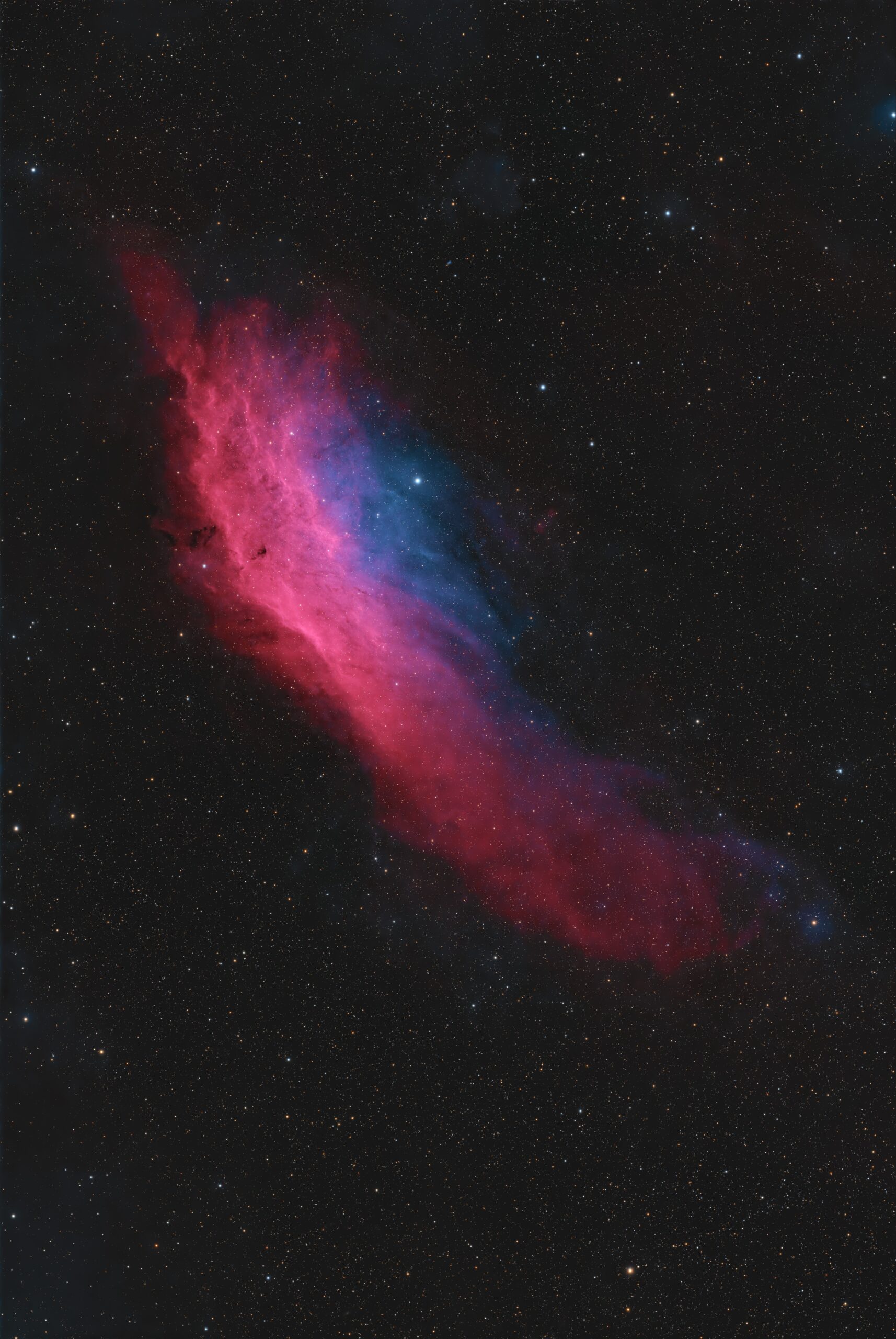 NGC 1499, The California Nebula - Sky & Telescope