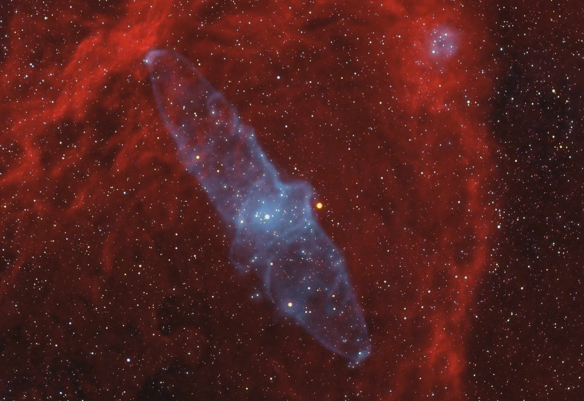 Flying Bat and Squid Nebula - Sky & Telescope - Sky & Telescope