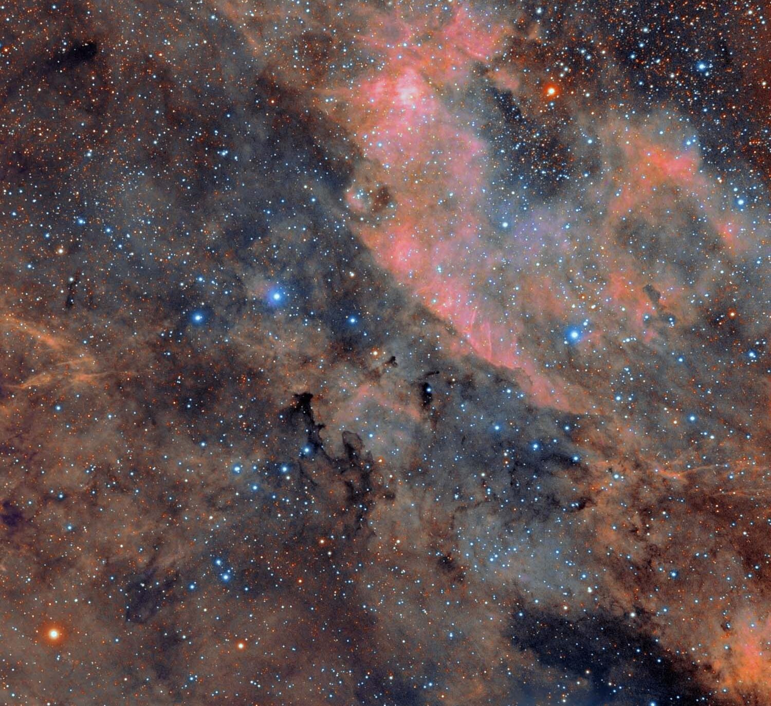 Sadr B344 - Sky & Telescope