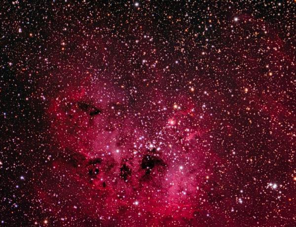 IC 410 | Stephen D Pastor - Sky & Telescope - Sky & Telescope