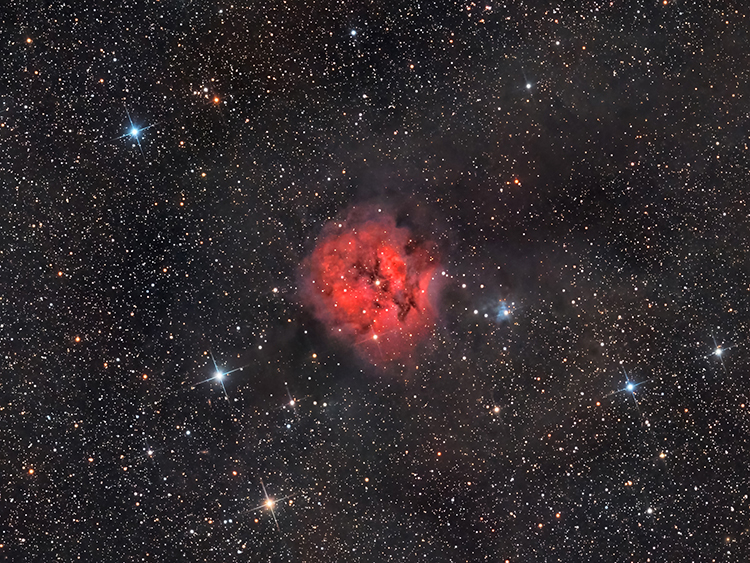 Cocoon Nebula - Sky & Telescope
