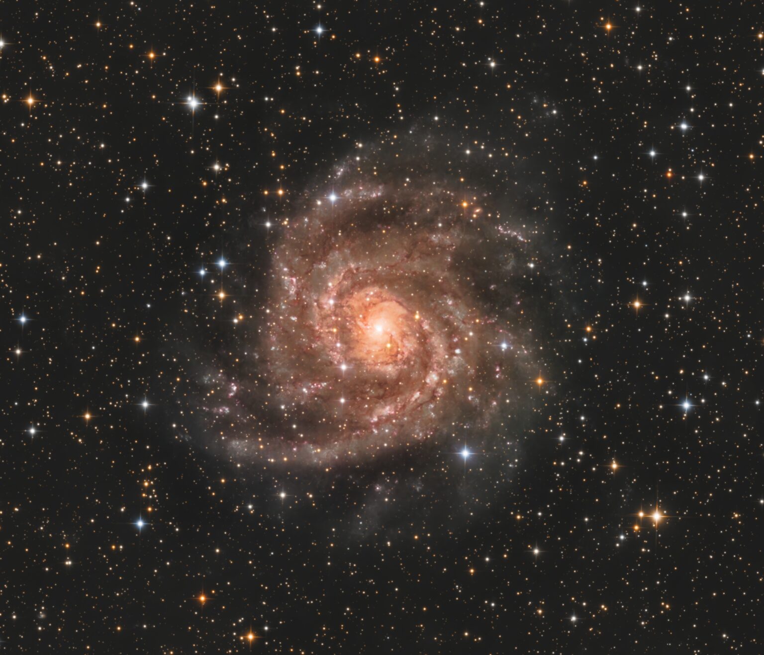 IC 342 - The Hidden Galaxy - Sky & Telescope