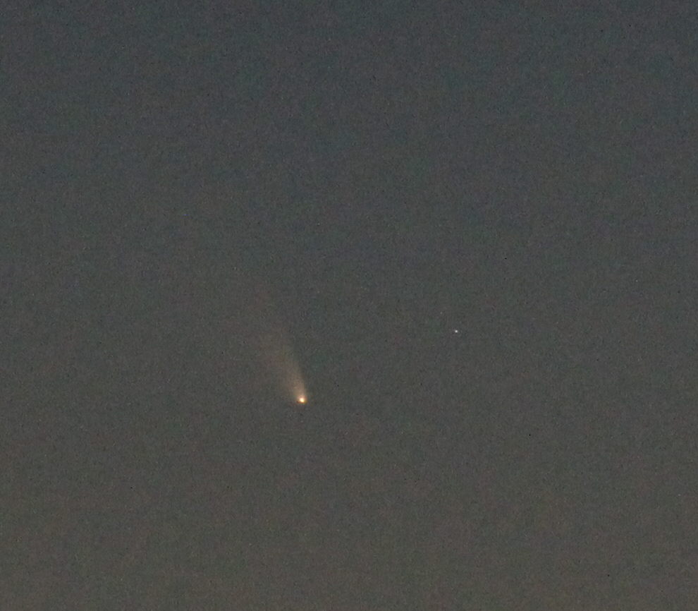 Comet Pan-STARRS | Alain Figer - Sky & Telescope