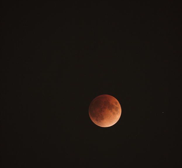 Italian Eclipse | Davide Marzotto - Sky & Telescope - Sky & Telescope