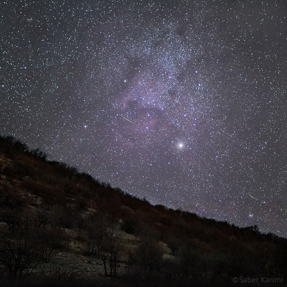 Nebula over oak trees - Sky & Telescope