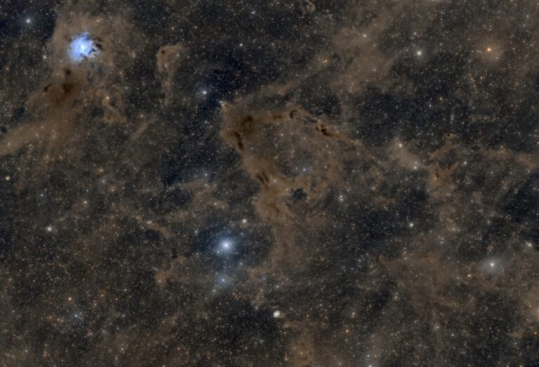 Iris Nebla – NGC 7023 and Dark Scorpion – LDN 1152 - Sky & Telescope