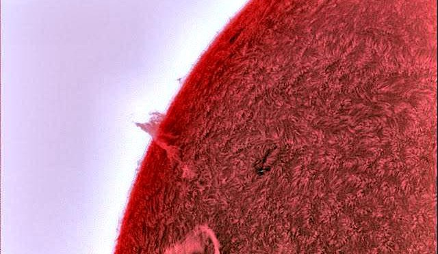 A filament crossing the Sun's limb | GABRIEL CORBAN - Sky & Telescope ...
