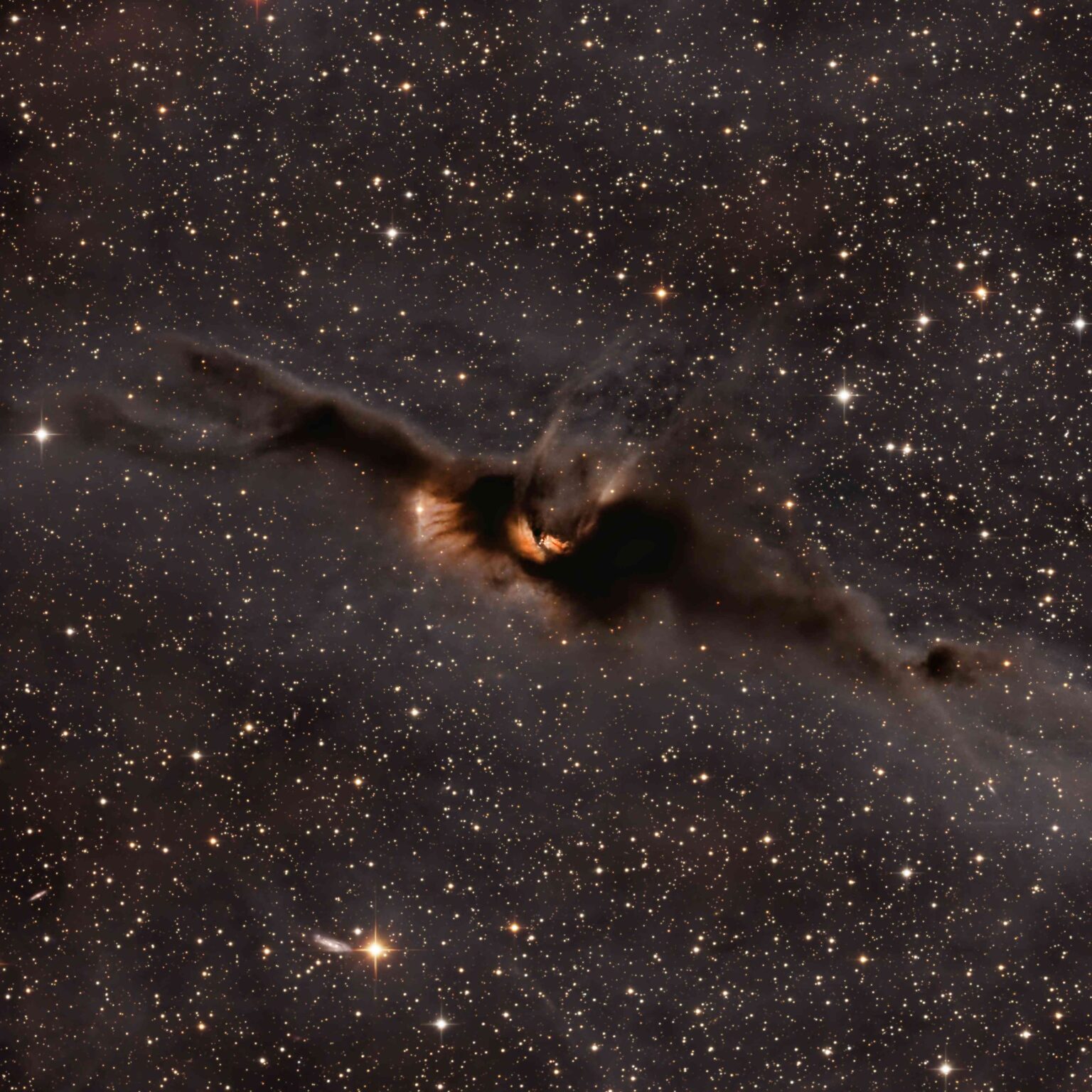 The Cosmic Bat Nebula - LDN43 - Sky & Telescope