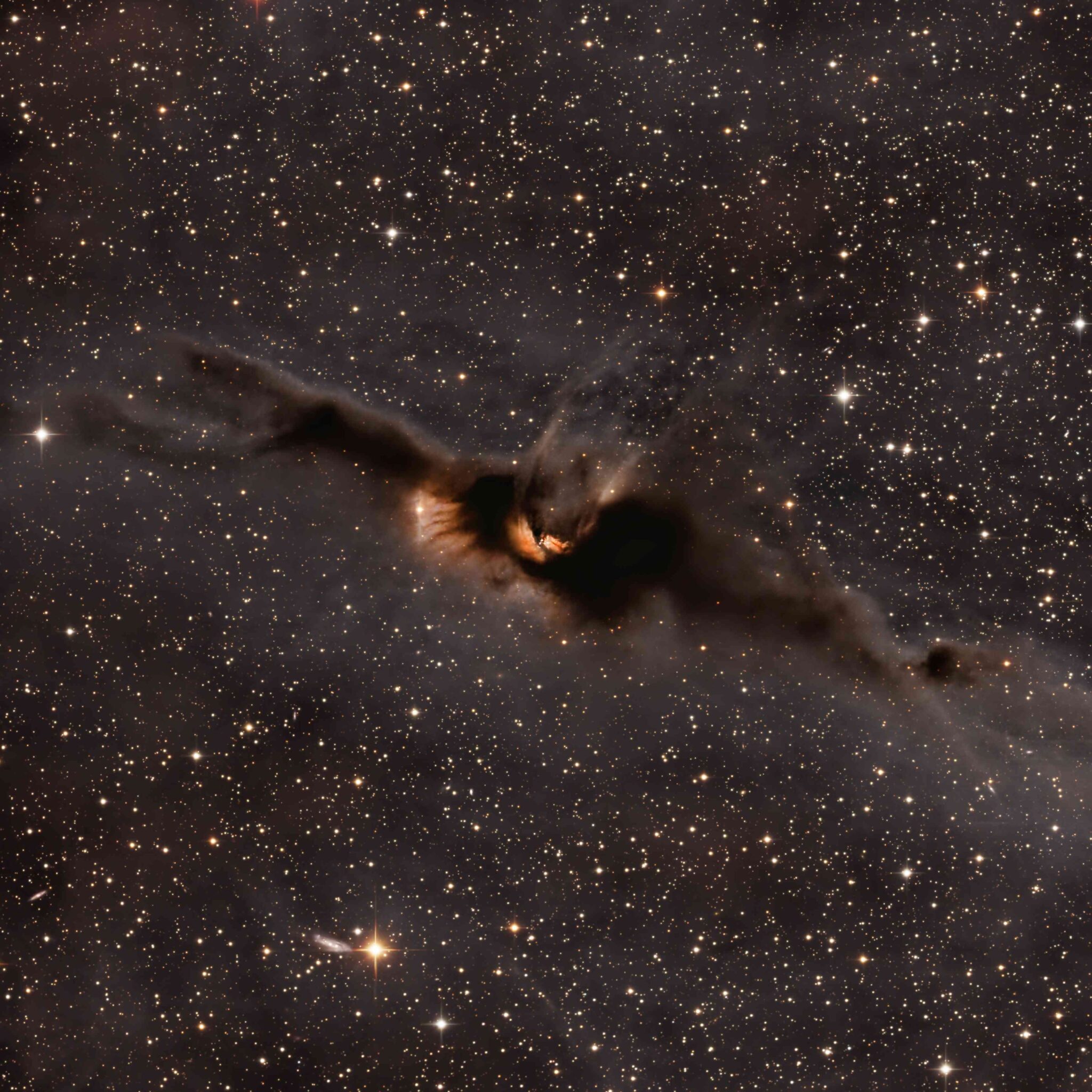 The Cosmic Bat Nebula - LDN43 - Sky & Telescope
