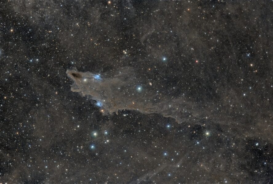 Shark Attack - ldn1235 - Sky & Telescope