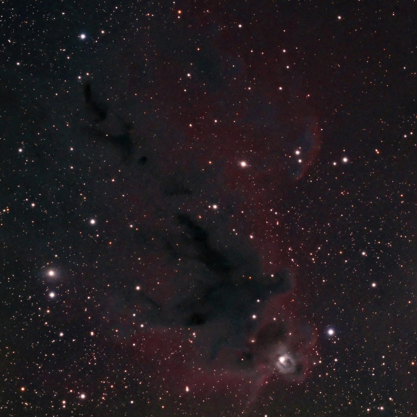 LDN 1622 and 1621 in Orion | Hunter Wilson - Sky & Telescope