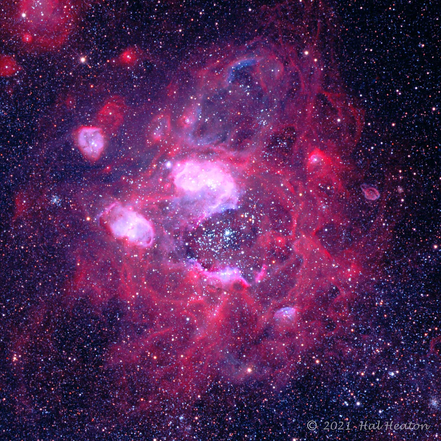 N11: The Second-largest HII Region in the LMC - Sky & Telescope