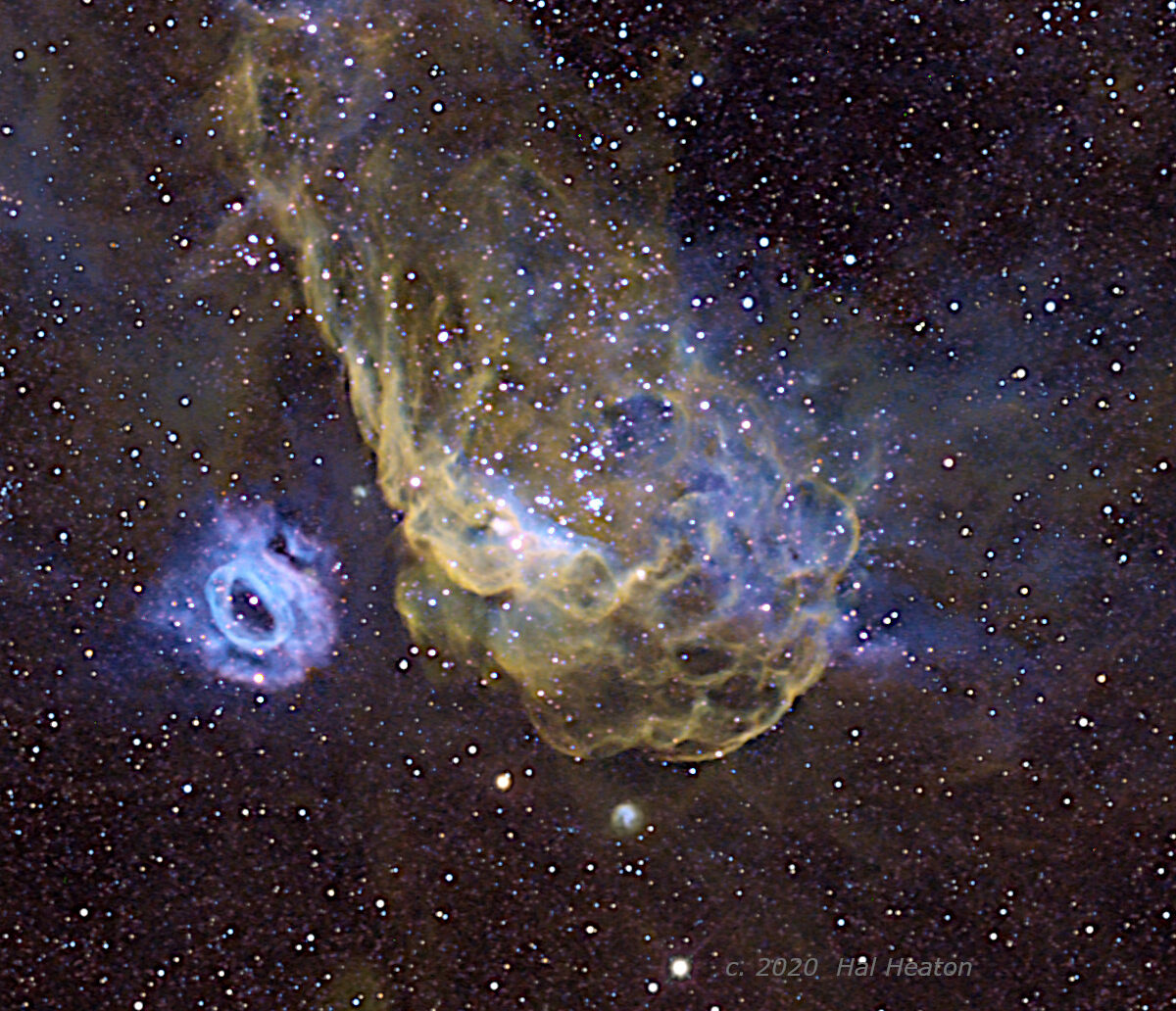 Bubble Nebulae from Massive Stars: NGC 2020 and 2014 - Sky & Telescope