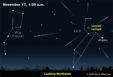 Leonid Meteor Shower to the Rescue - Sky & Telescope