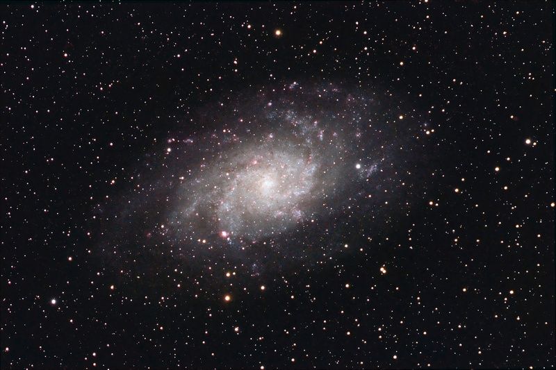 M33 Ha Enhanced | Hunter Wilson - Sky & Telescope - Sky & Telescope