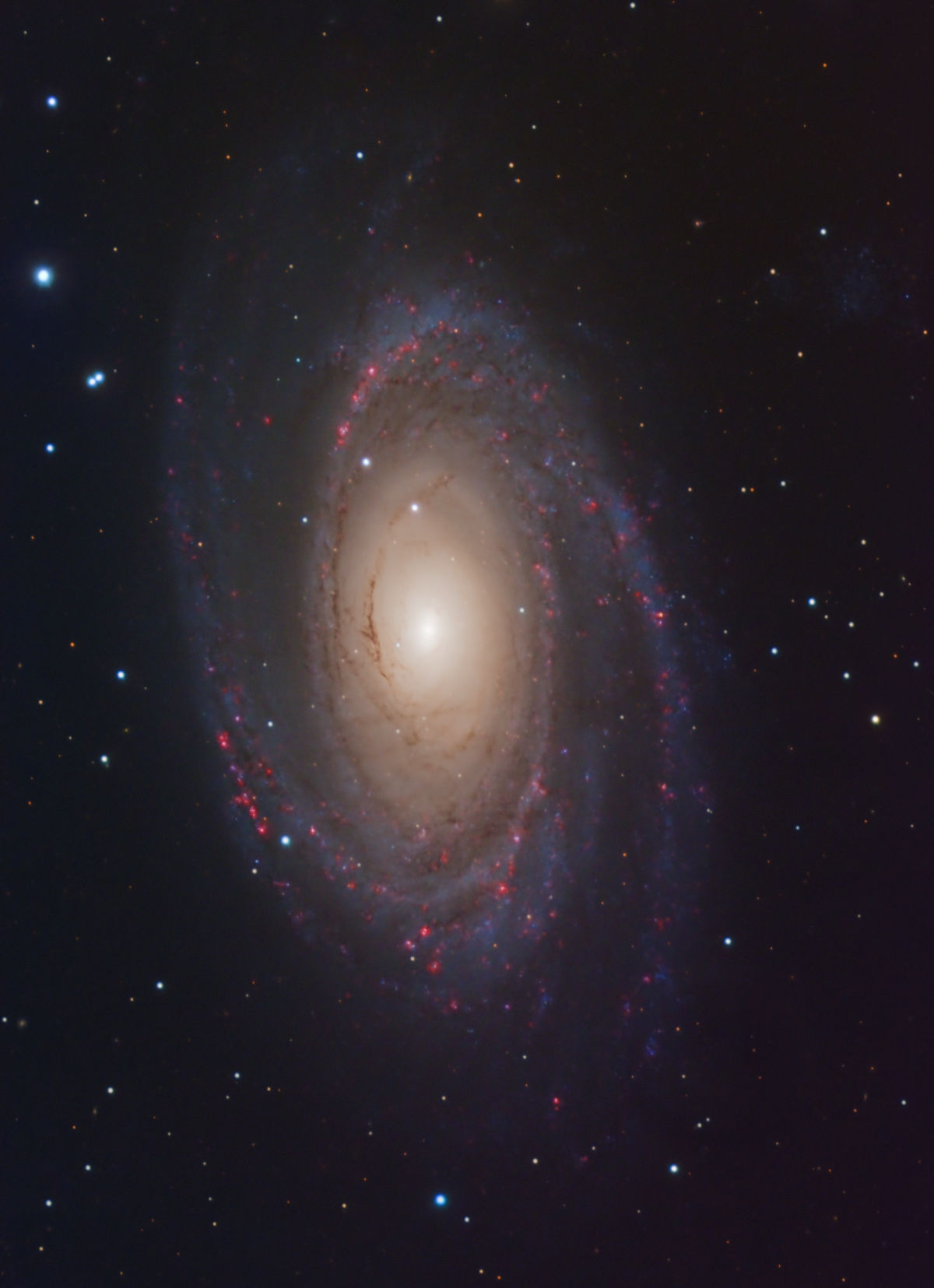 The Bode's Galaxy and IFN - Sky & Telescope