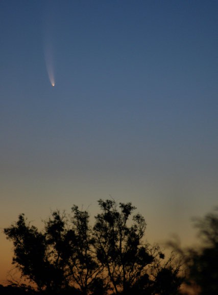 Comet McNaught | Andrew Johnston - Sky & Telescope
