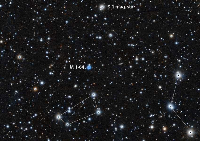 Summer Nights Offer Splendid Sights in Lyra - Sky & Telescope