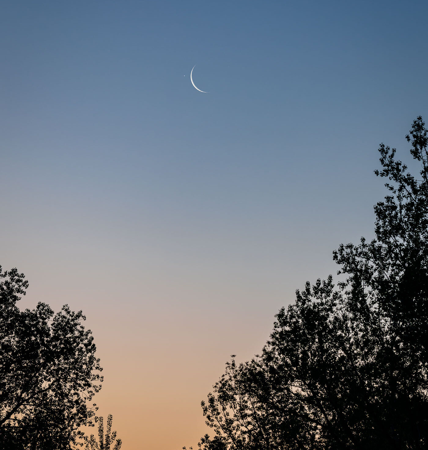 Moon/Jupiter Occultation May 17 2023 - Sky & Telescope