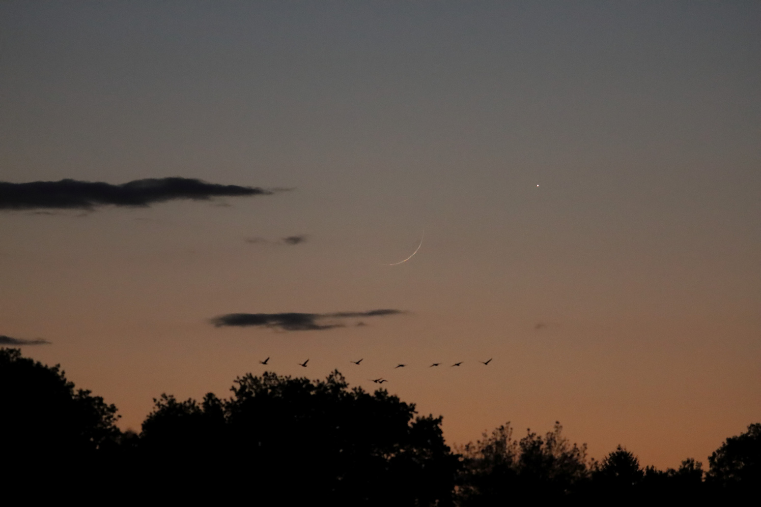 Venus and the Thin Crescent Moon - Sky & Telescope