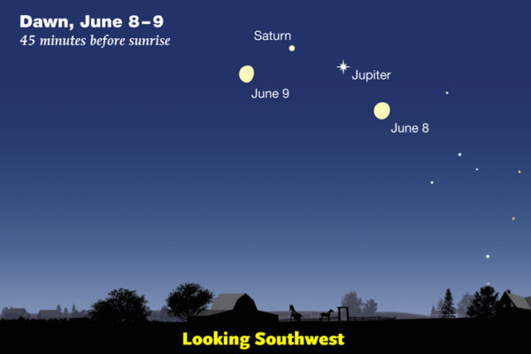 June 2020: Stars of Early Summer - Sky & Telescope - Sky & Telescope