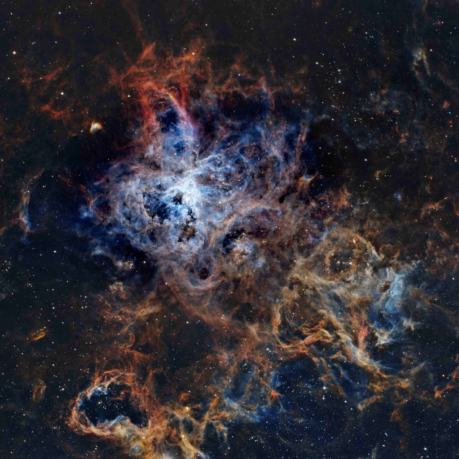 NGC 2070 The Tarantula Nebula - Sky & Telescope