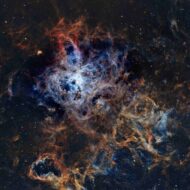 NGC 2070 The Tarantula Nebula - Sky & Telescope - Sky & Telescope