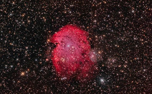 NGC 2175 | Stephen D Pastor - Sky & Telescope - Sky & Telescope