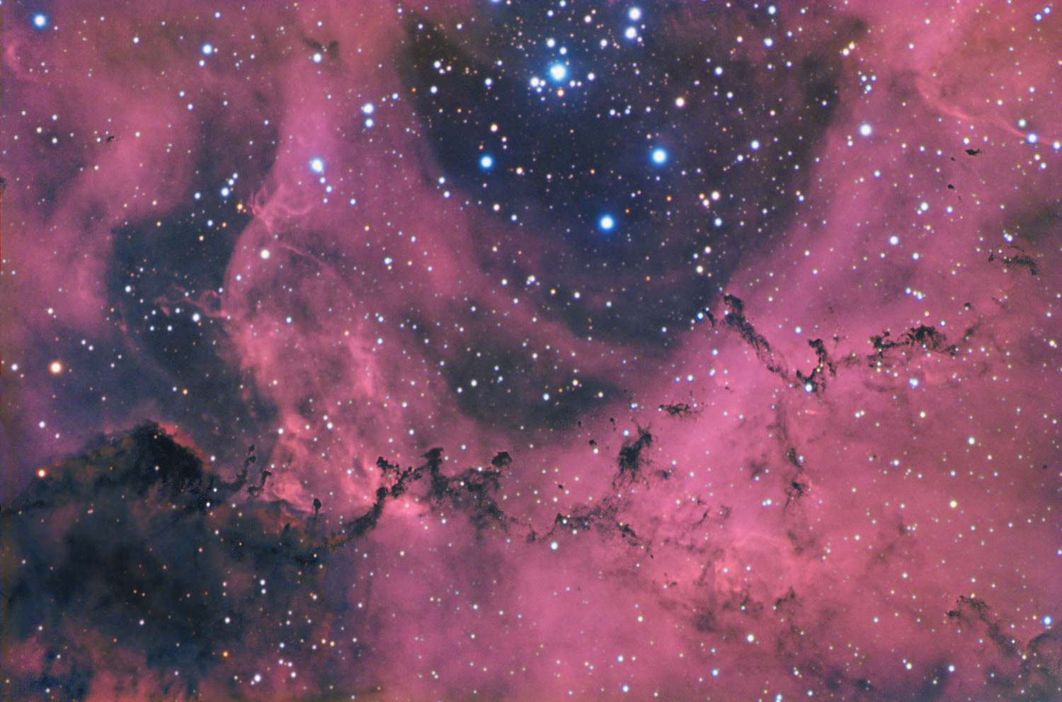 Dark Nebulae and Bok Globules of the Rosette Nebula - Sky & Telescope ...