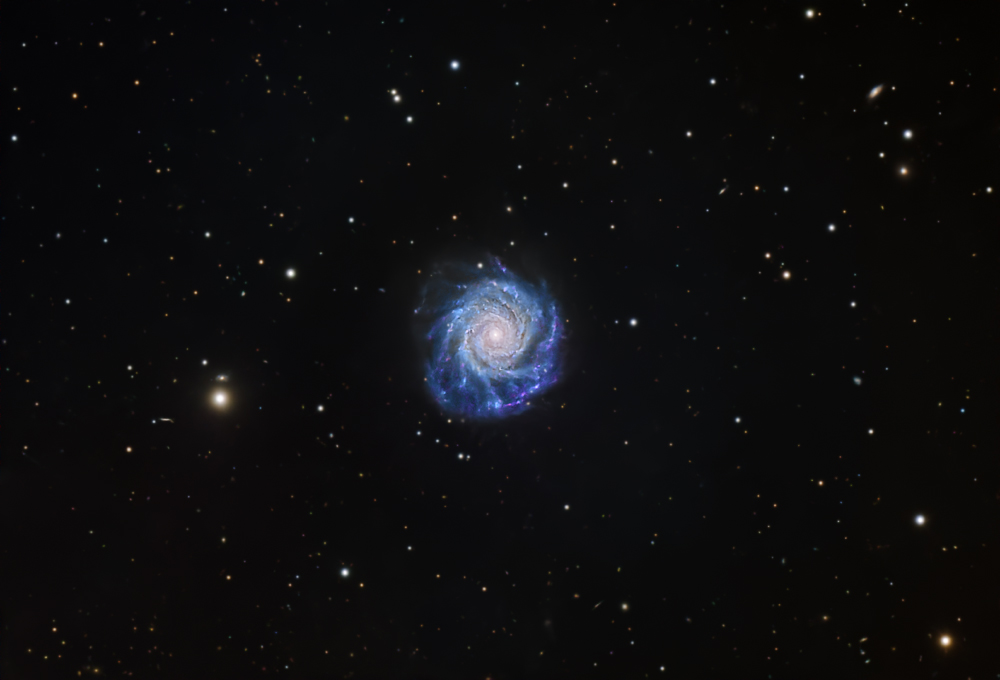 NGC 3938 - Sky & Telescope