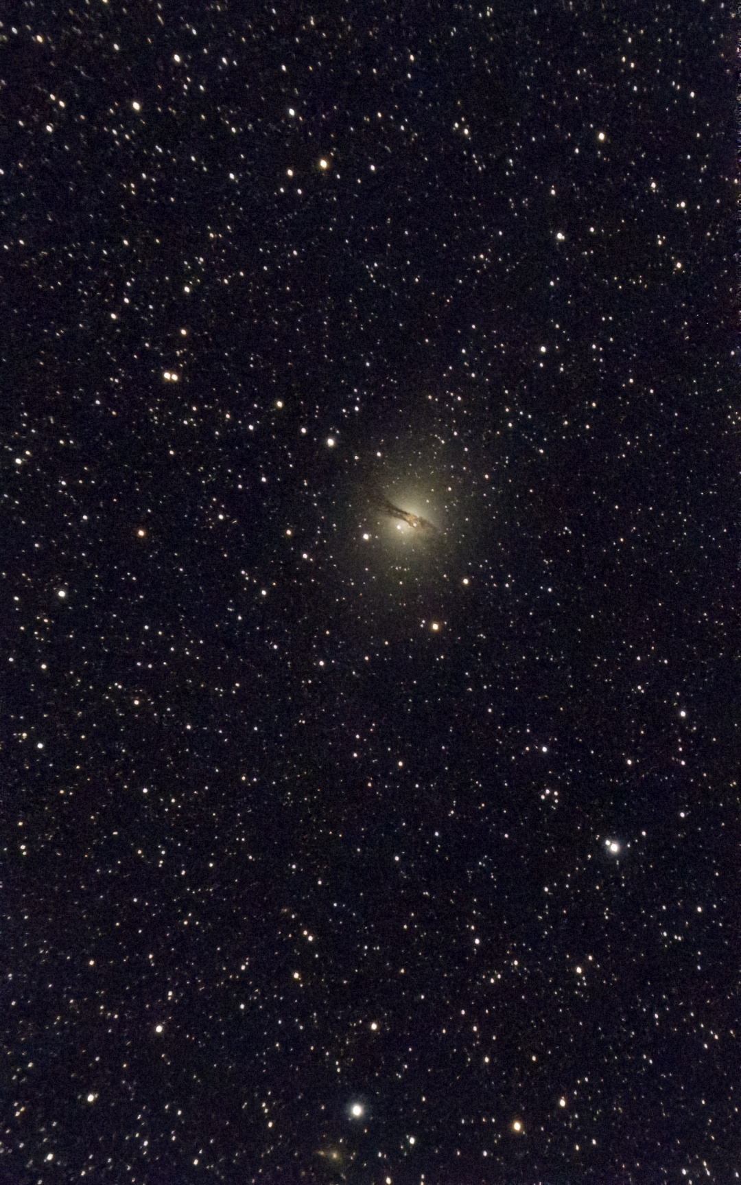 Southern Splendors on Safari - Sky & Telescope