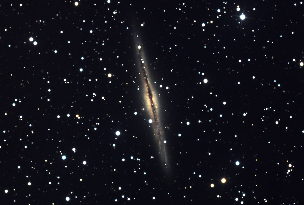 NGC 891 | Vic Eden - Sky & Telescope - Sky & Telescope