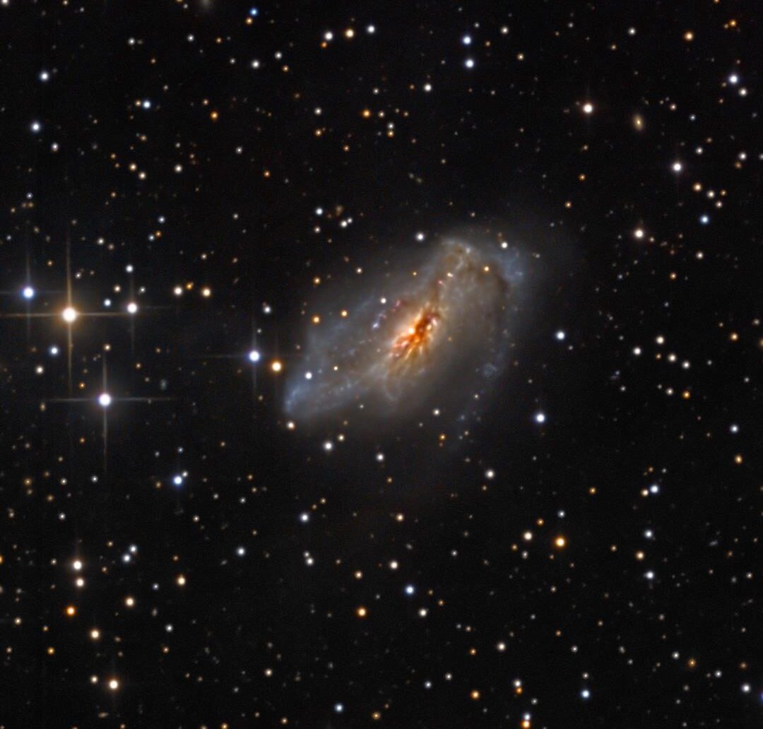 NGC 2146, distorted galaxy in Camelopardalis - Sky & Telescope
