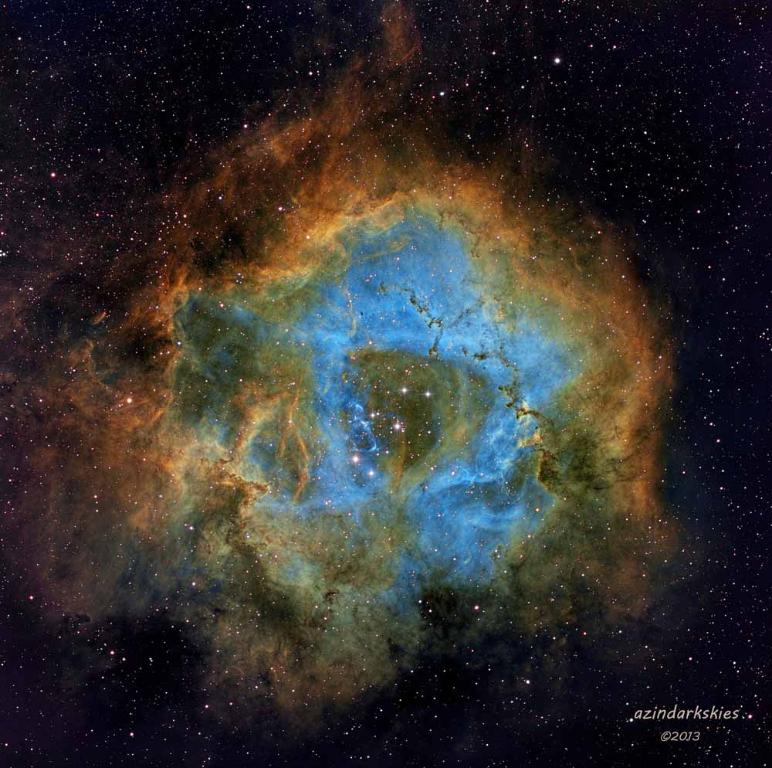 The Rose | Howard H Bower - Sky & Telescope