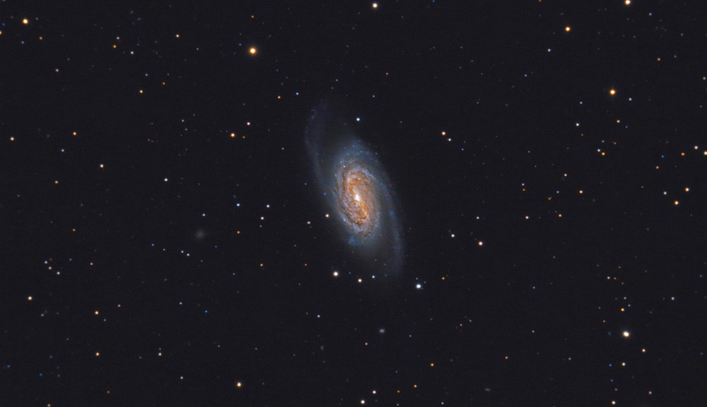 NGC 2903 in Leo | Hunter Wilson - Sky & Telescope