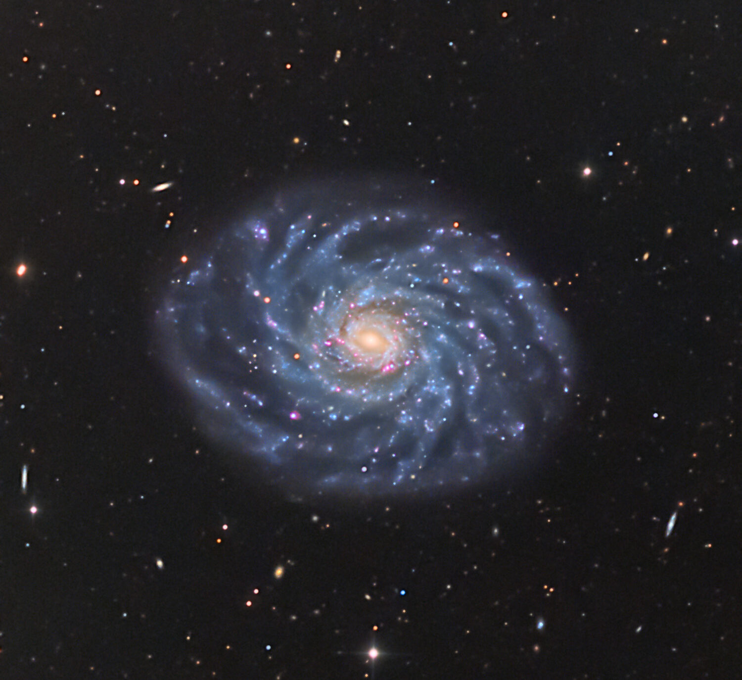 NGC 3486 - Sky & Telescope