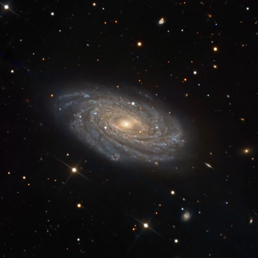 NGC 3953 - Sky & Telescope