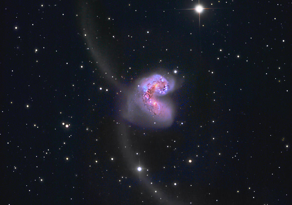 The Antenae galaxies NGC4038 and NGC4039 - Sky & Telescope