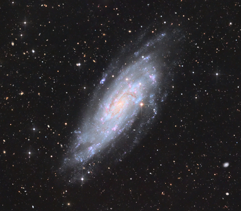 Caldwell 36 with Rare Luminous Blue Variable (LBV) Star - Sky & Telescope