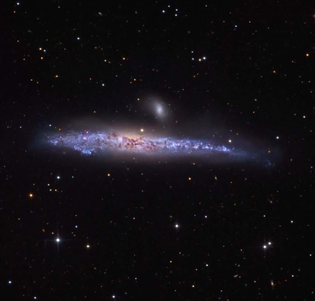 NGC 4631 - Sky & Telescope