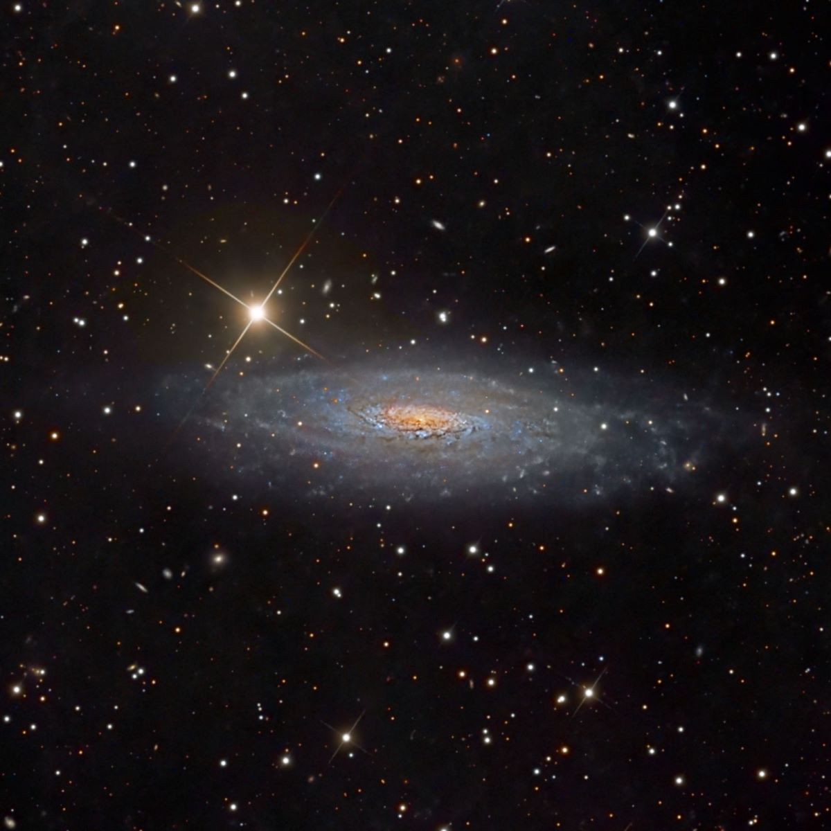 NGC 6503 - Sky & Telescope