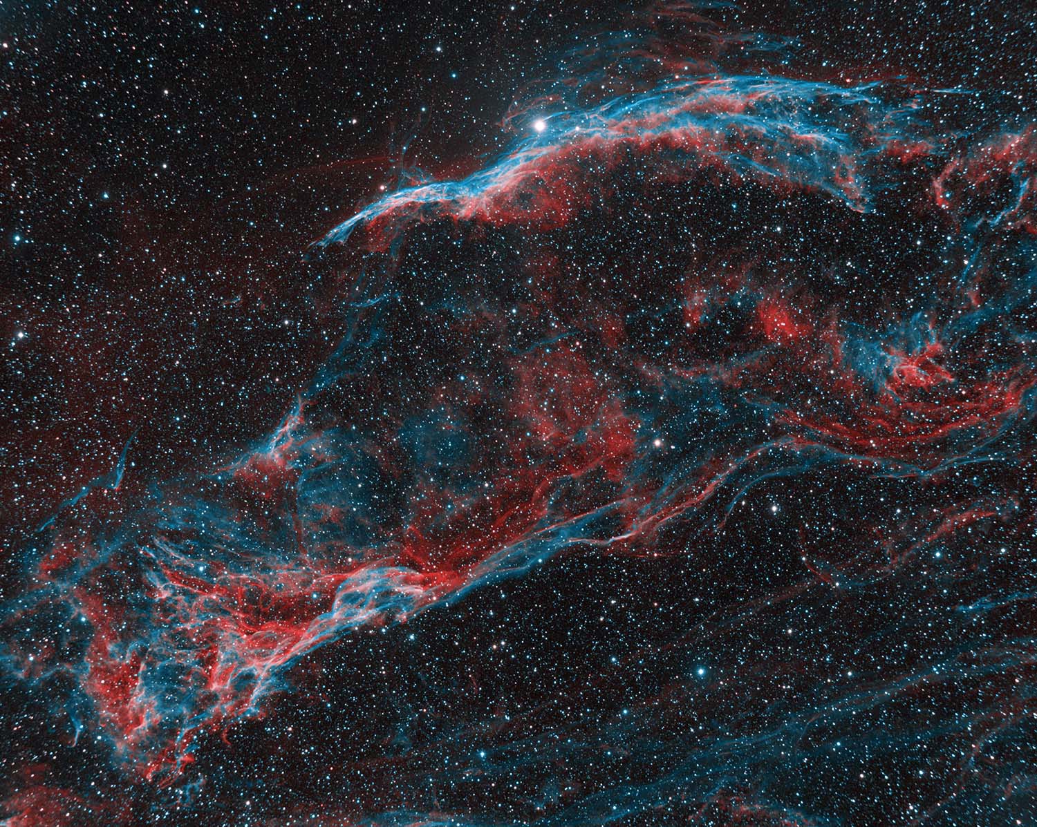 NGC 6960, the Witch's Broom - Sky & Telescope