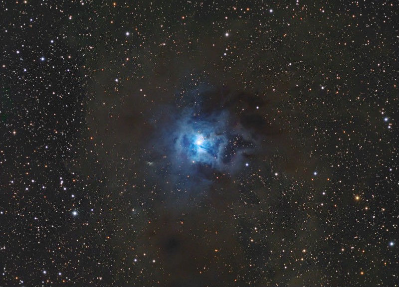 NCG 7023 - The Iris Nebula | Bernard Miller - Sky & Telescope