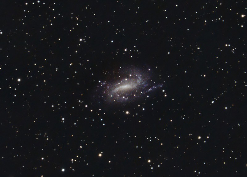 NGC 925 in Triangulum | Hunter Wilson - Sky & Telescope