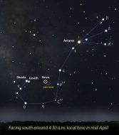 A Bouquet of Novae Brightens April Nights - Sky & Telescope