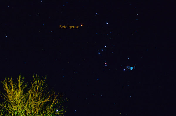 Meet Betelgeuse, the Red Giant of Orion - Sky & Telescope