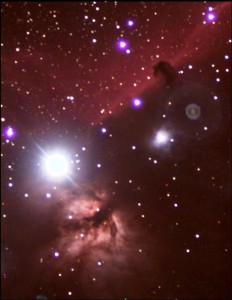 Orion Beauty | Andrey Batchvarov - Sky & Telescope