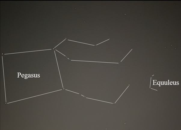 The Celestial Horses - Sky & Telescope
