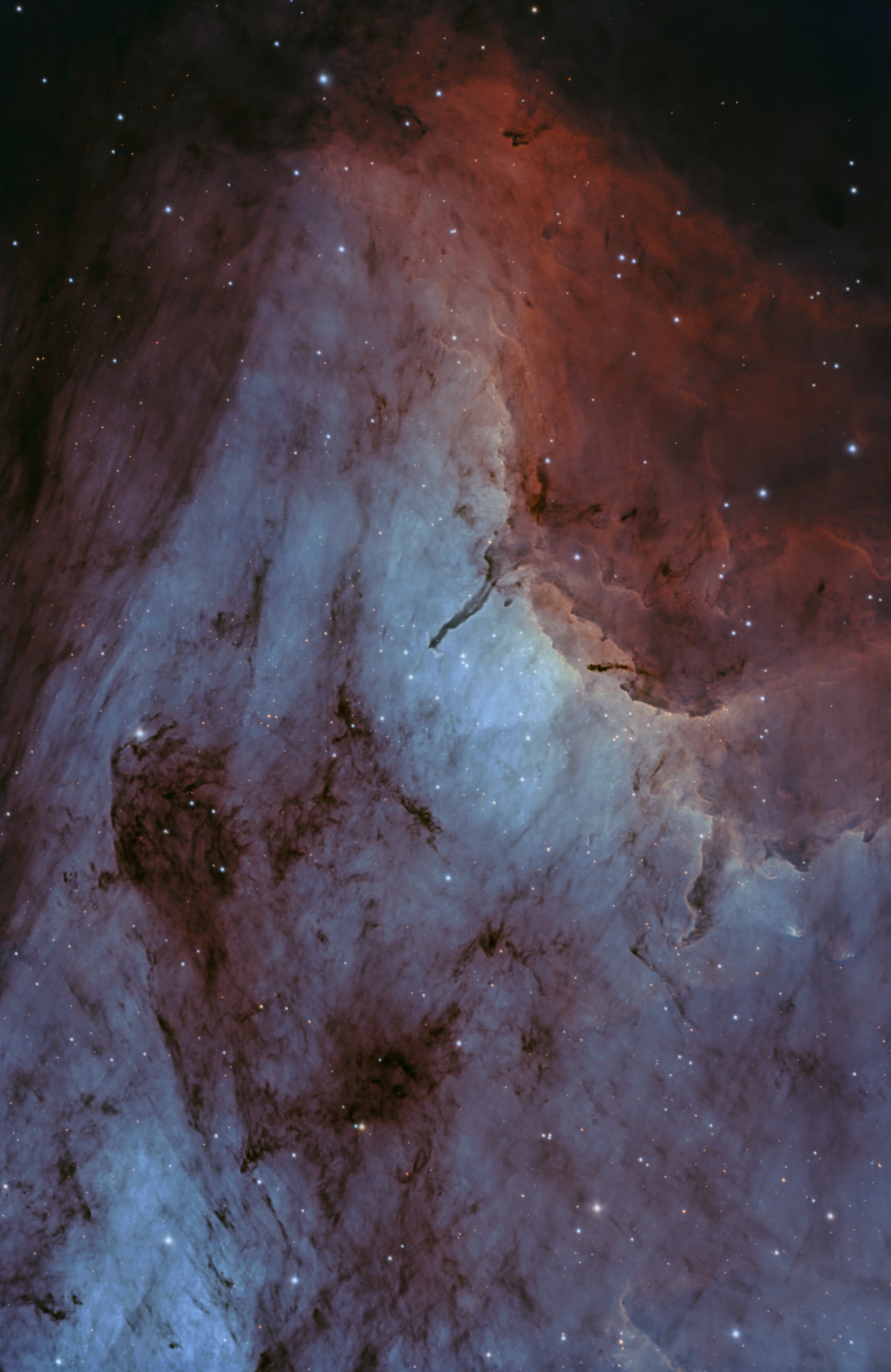 Pelican Headshot in HOO - Sky & Telescope - Sky & Telescope